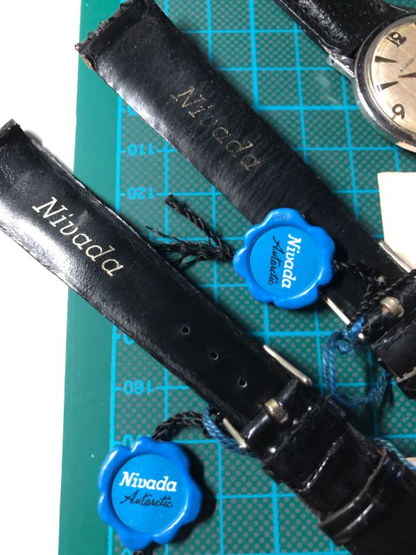 Nivada Antarctic Models - Chronopedia